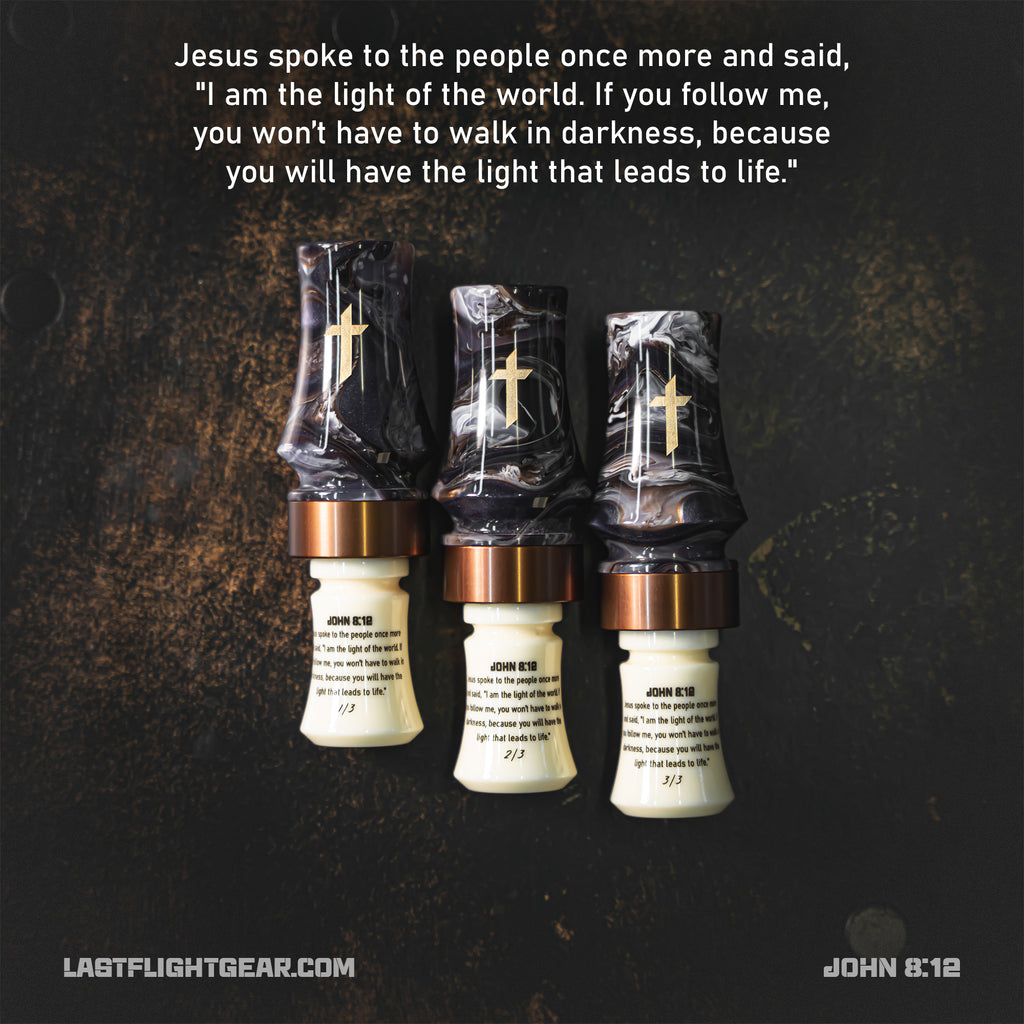 John 8:12